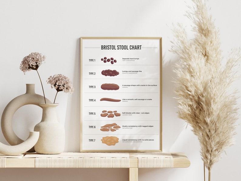 The Bristol Stool Chart | Lab Wall Art | Laboratory Specialist | A ...