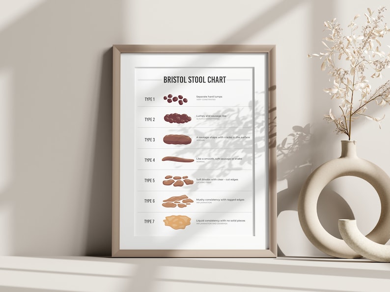 The Bristol Stool Chart | Lab Wall Art | Laboratory Specialist | A ...