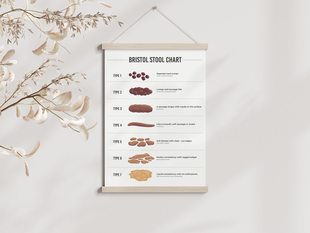The Bristol Stool Chart | Lab Wall Art | Laboratory Specialist | A ...