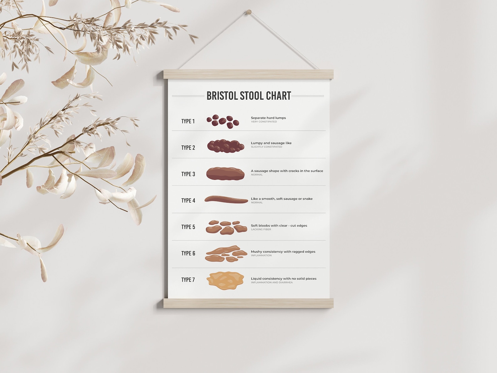 The Bristol Stool Chart | Lab Wall Art | Laboratory Specialist | A ...