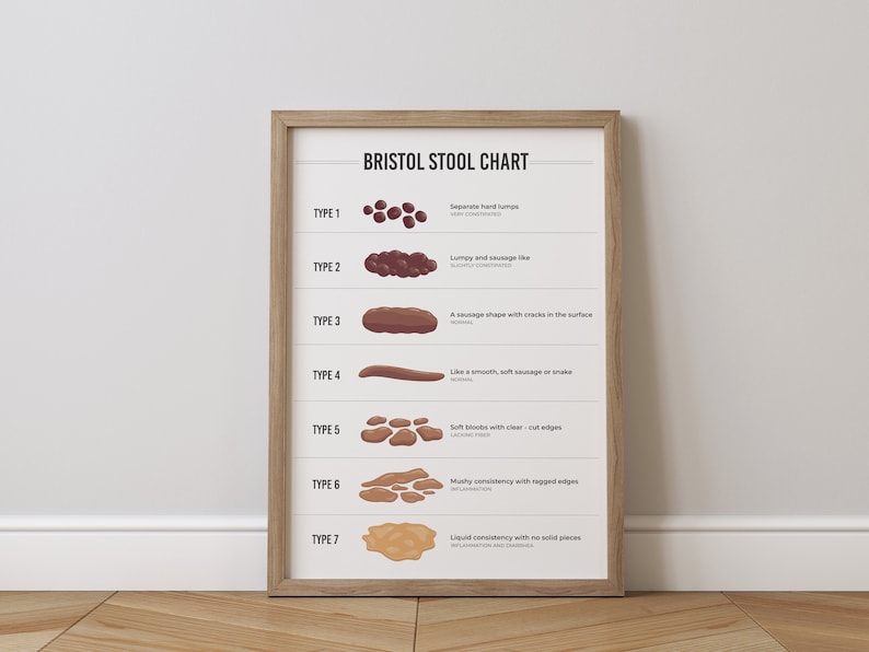 The Bristol Stool Chart | Lab Wall Art | Laboratory Specialist | A ...