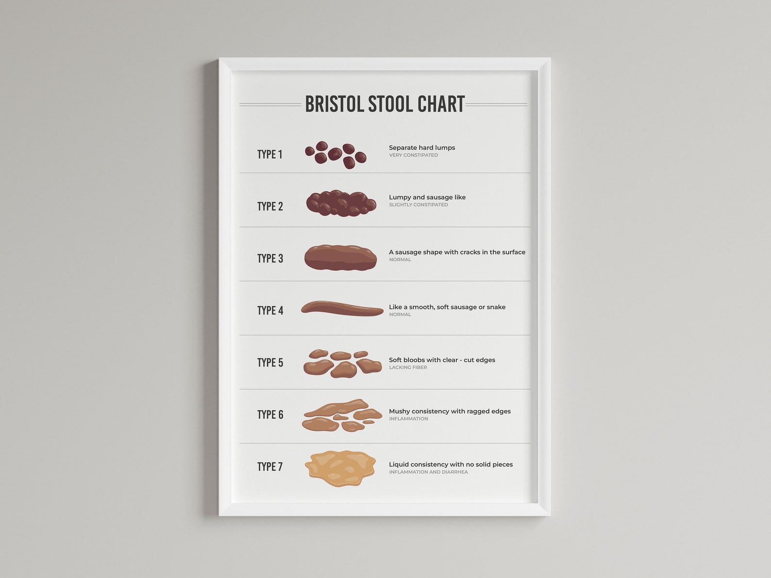The Bristol Stool Chart | Lab Wall Art | Laboratory Specialist | A ...