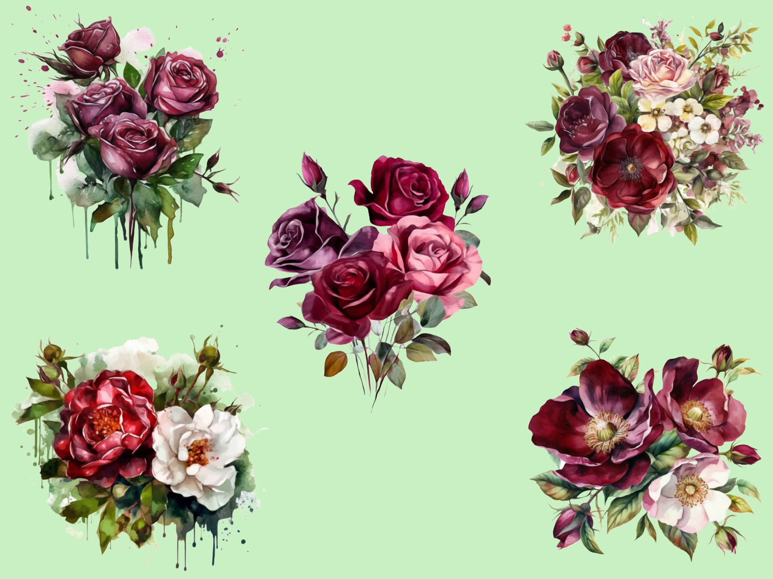 Wild Roses, Watercolor, Clipart Bundle, Pink, White, Red Roses, Floral ...