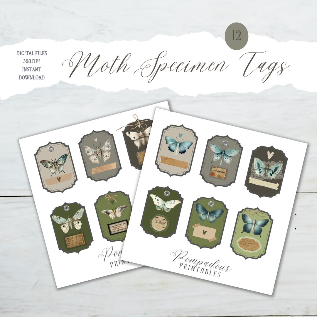 12 Printable Gift Tags With Vintage Specimen Moths, Digital Vintage ...