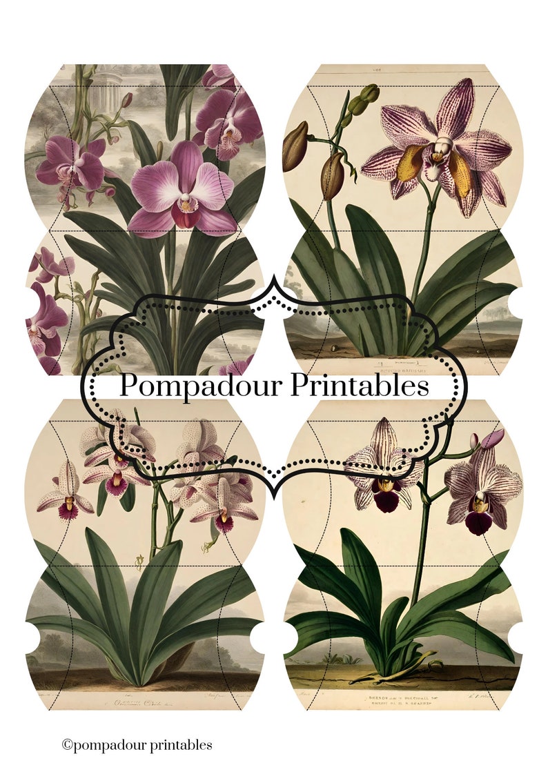 Printable Boxes With Vintage Orchids, Digital Printable, Digital Pillow ...