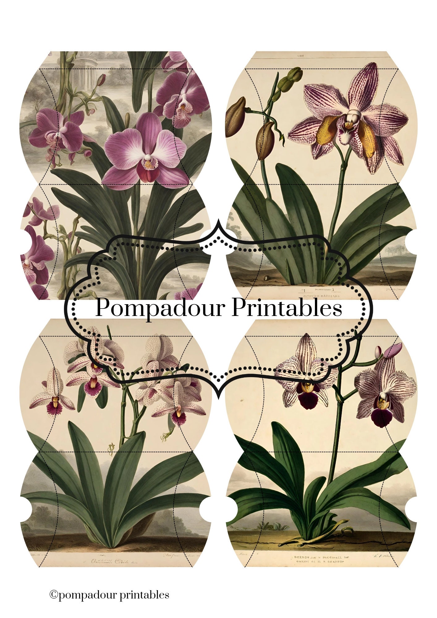 Printable Boxes With Vintage Orchids, Digital Printable, Digital Pillow ...