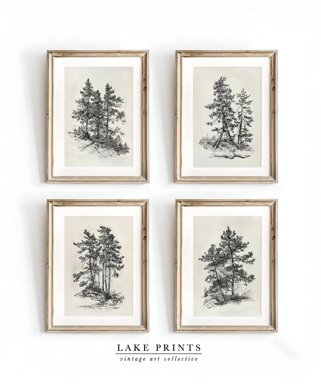 Pine Tree Sketch Print Set of 4, Tree Sketch Art, Sketch Drawing ...