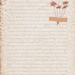 Vintage Floral Writing Paper: 10 Lined Printable Sheets (US Letter Size ...