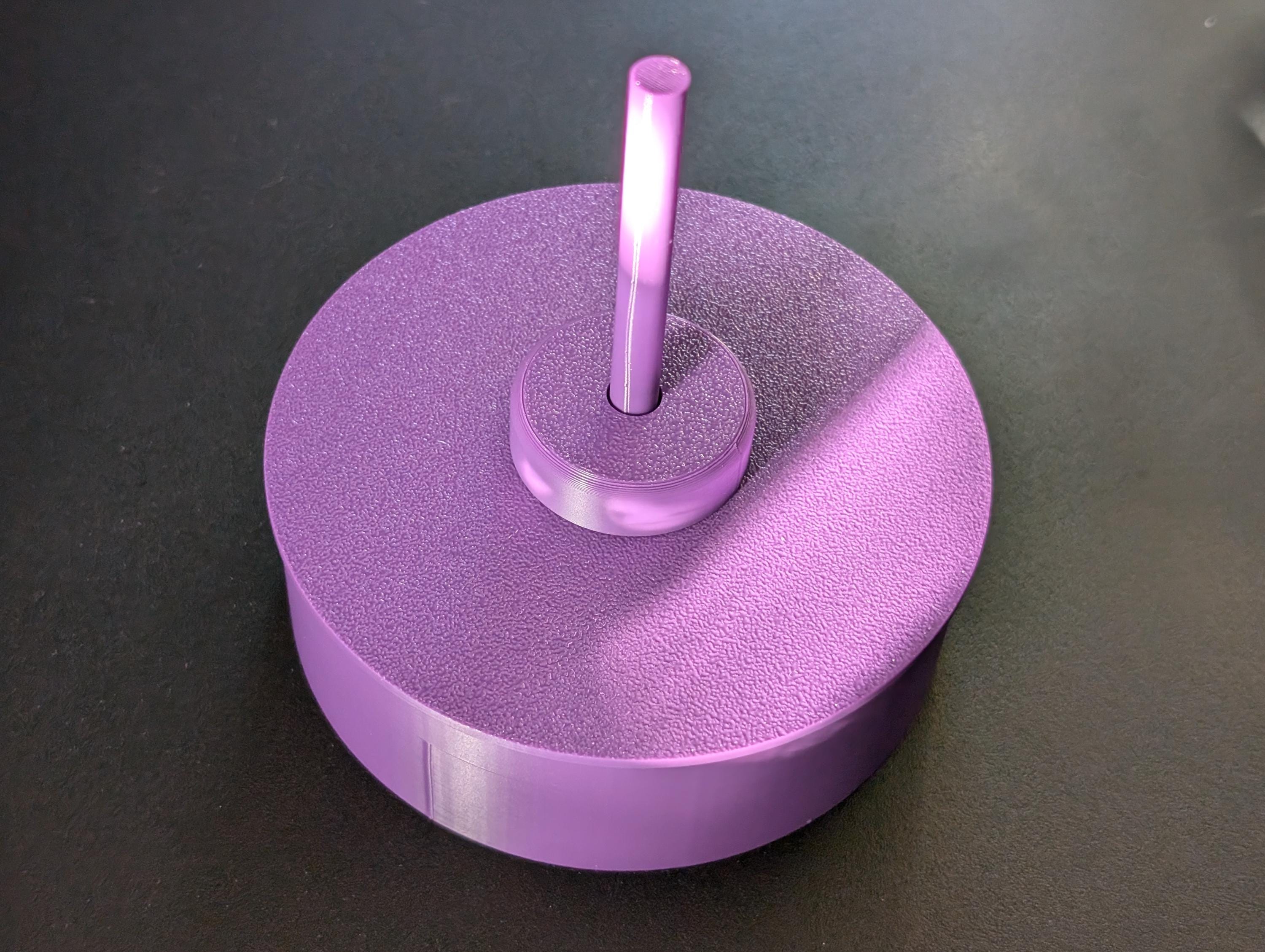 Ant Lizard Feeder - Etsy