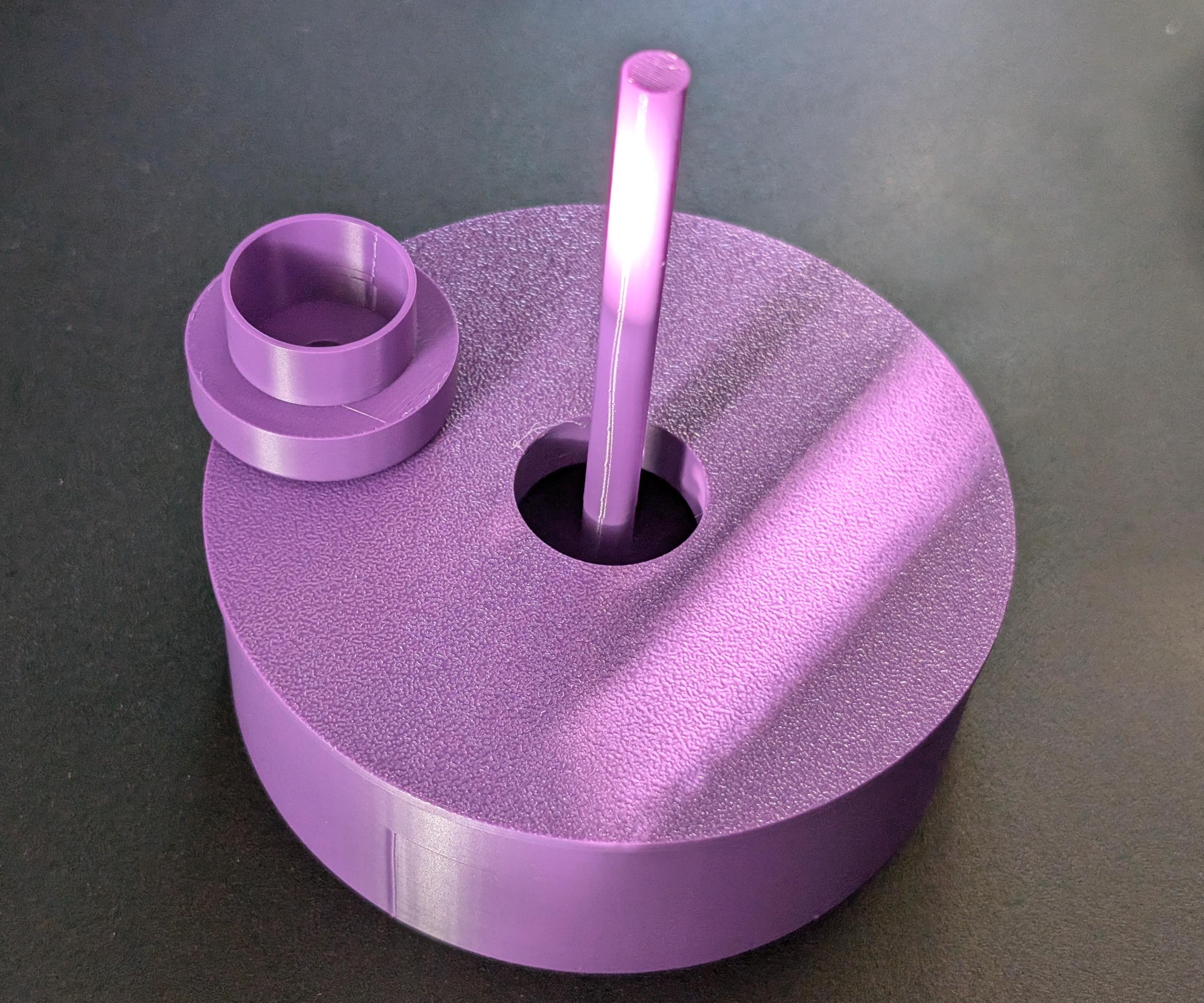 Ant Lizard Feeder - Etsy