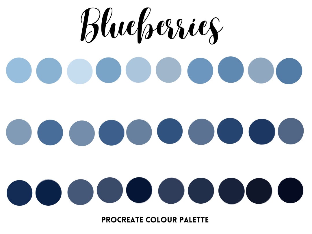 Blueberries Procreate Colour Palette Colour Palette - Etsy