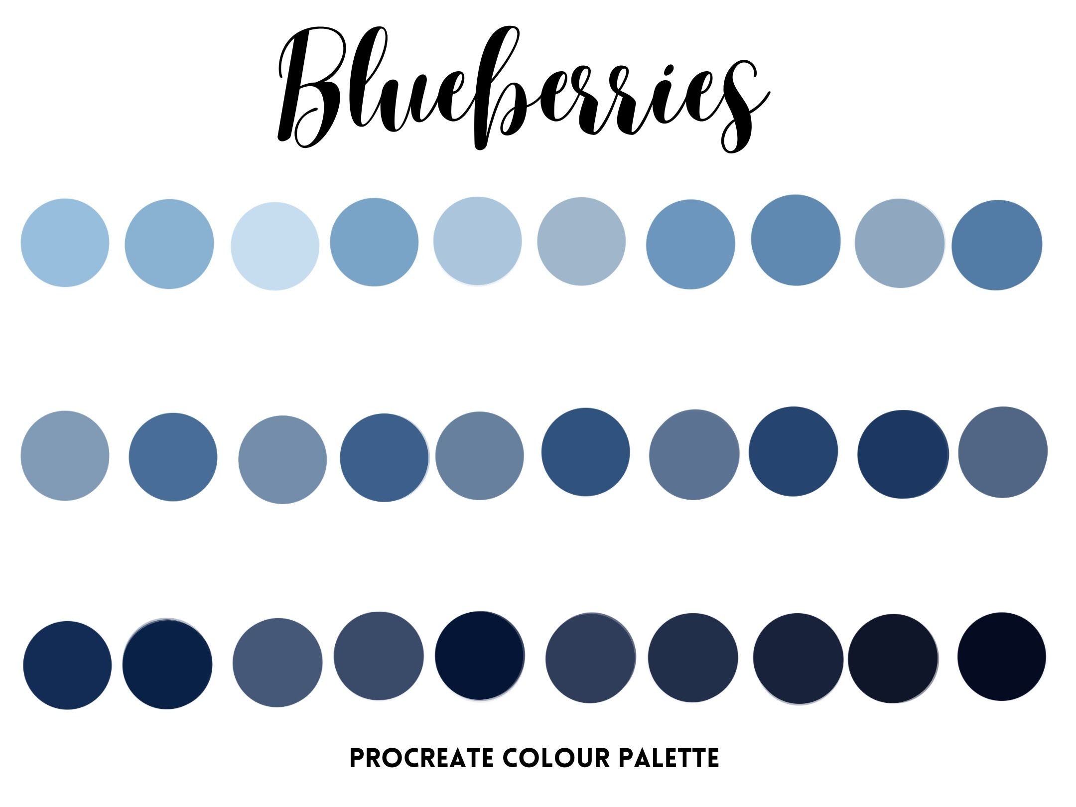 Blueberries Procreate Colour Palette Colour Palette - Etsy