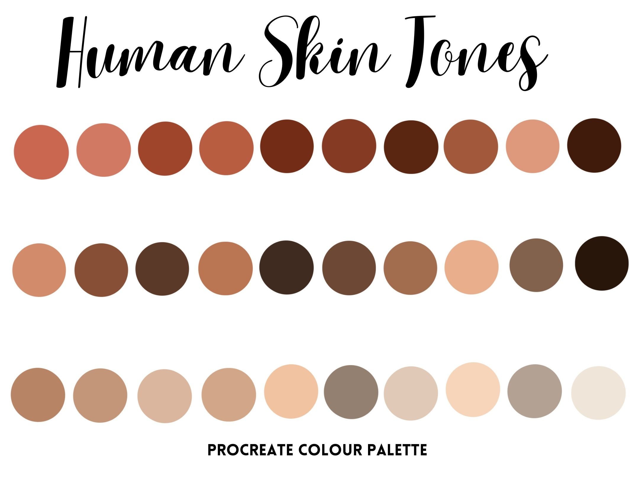Human Skin Color Palette
