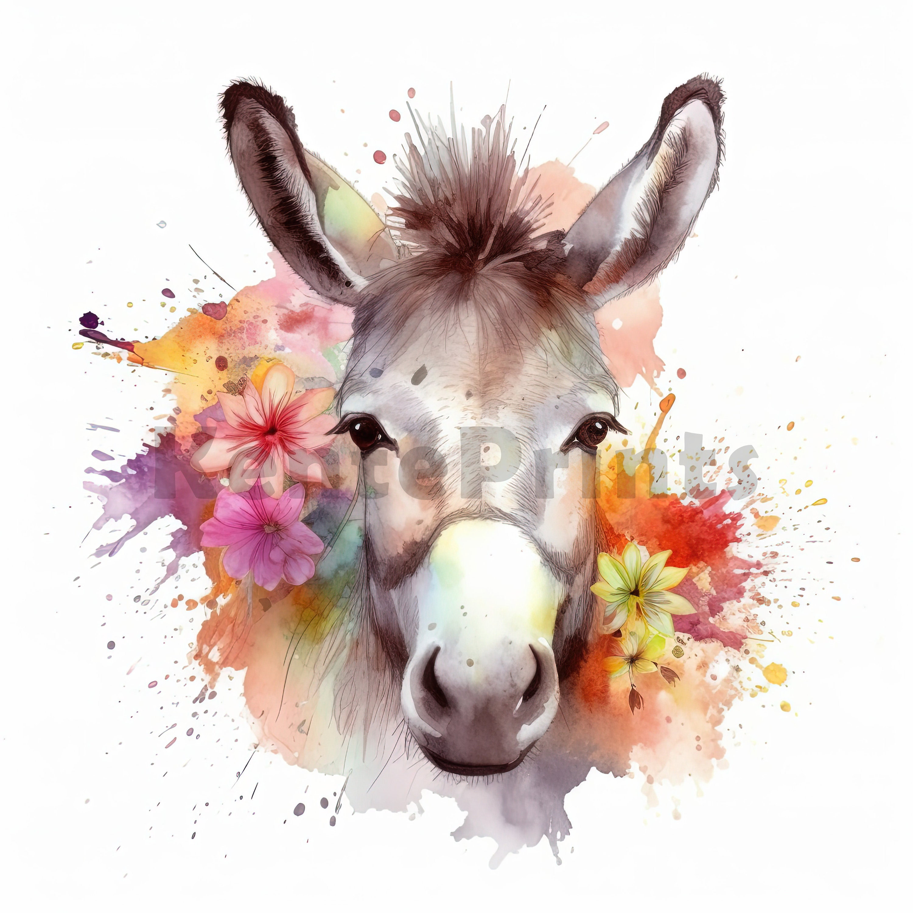 Donkey Flowers Clipart Watercolor - 12 Unique High Resolution Jpgs ...