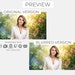 Spring Zoom Background | Spring Nature Zoom Background Home Office ...