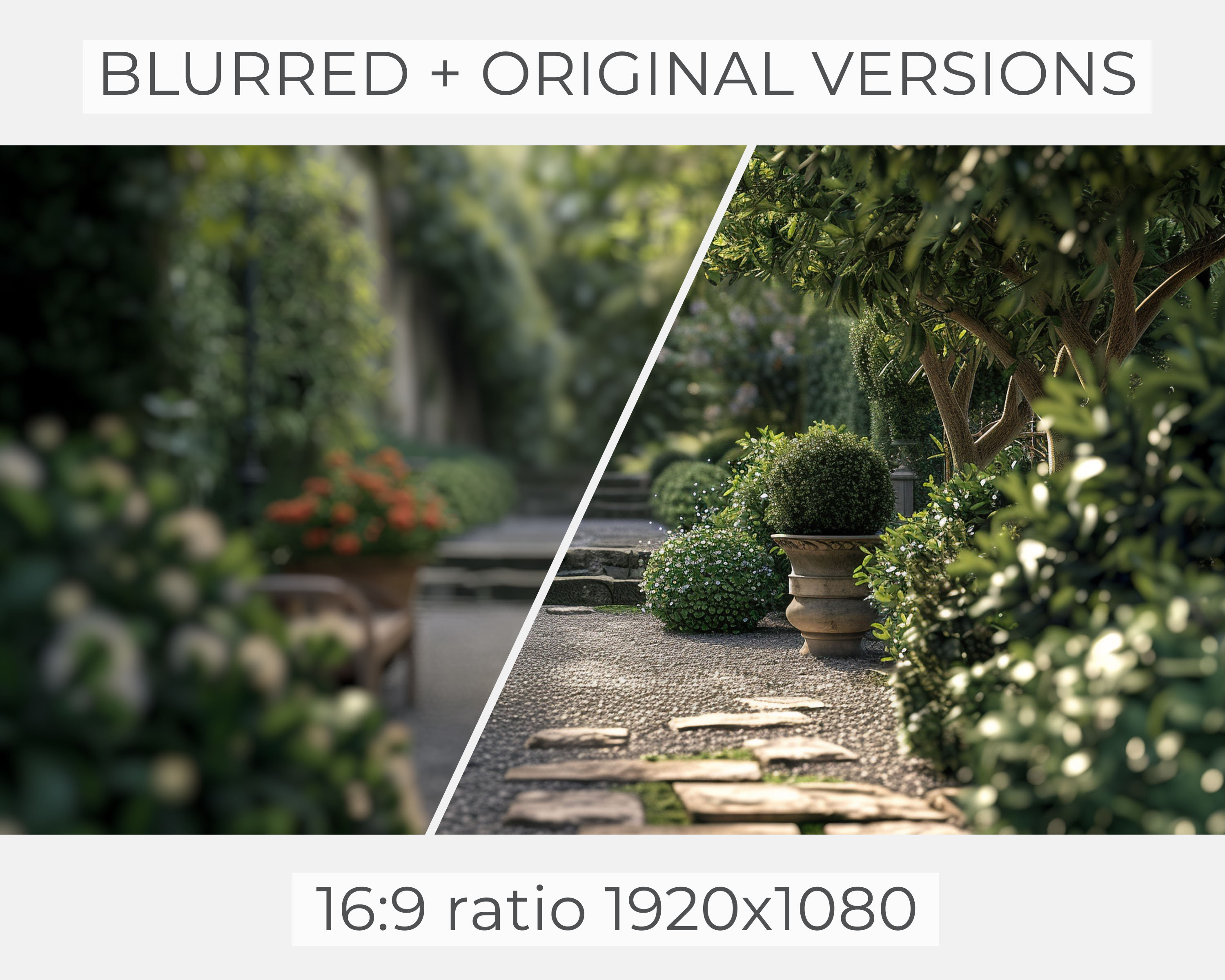 Garden Zoom Background Nature Zoom Background Home Office Home Office ...