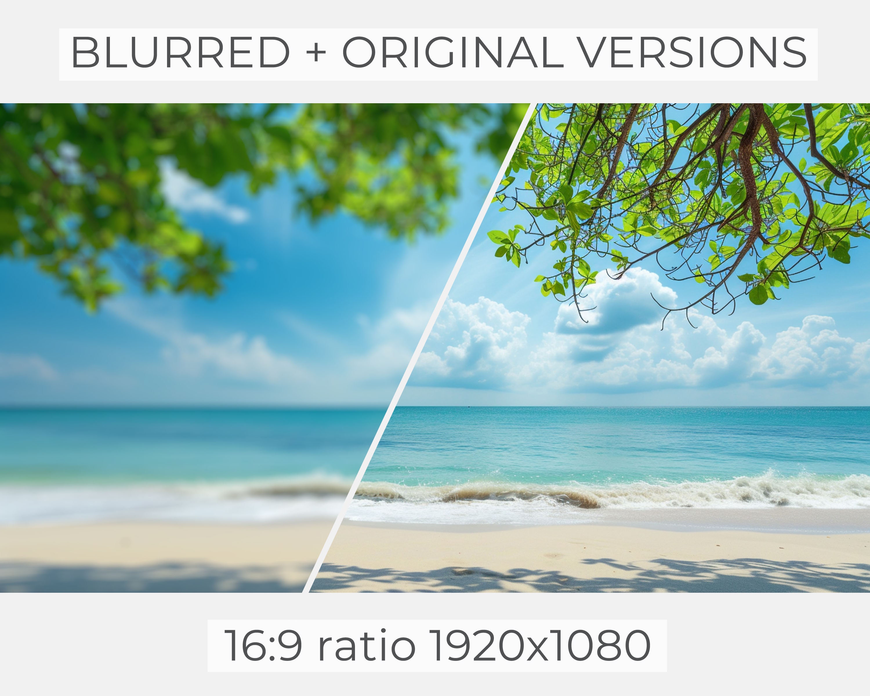 Summer Beach Zoom Background Nature Zoom Background Home Office Home ...