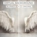 Angel Wings Zoom Background Zoom Background Home Office Angel Wings ...