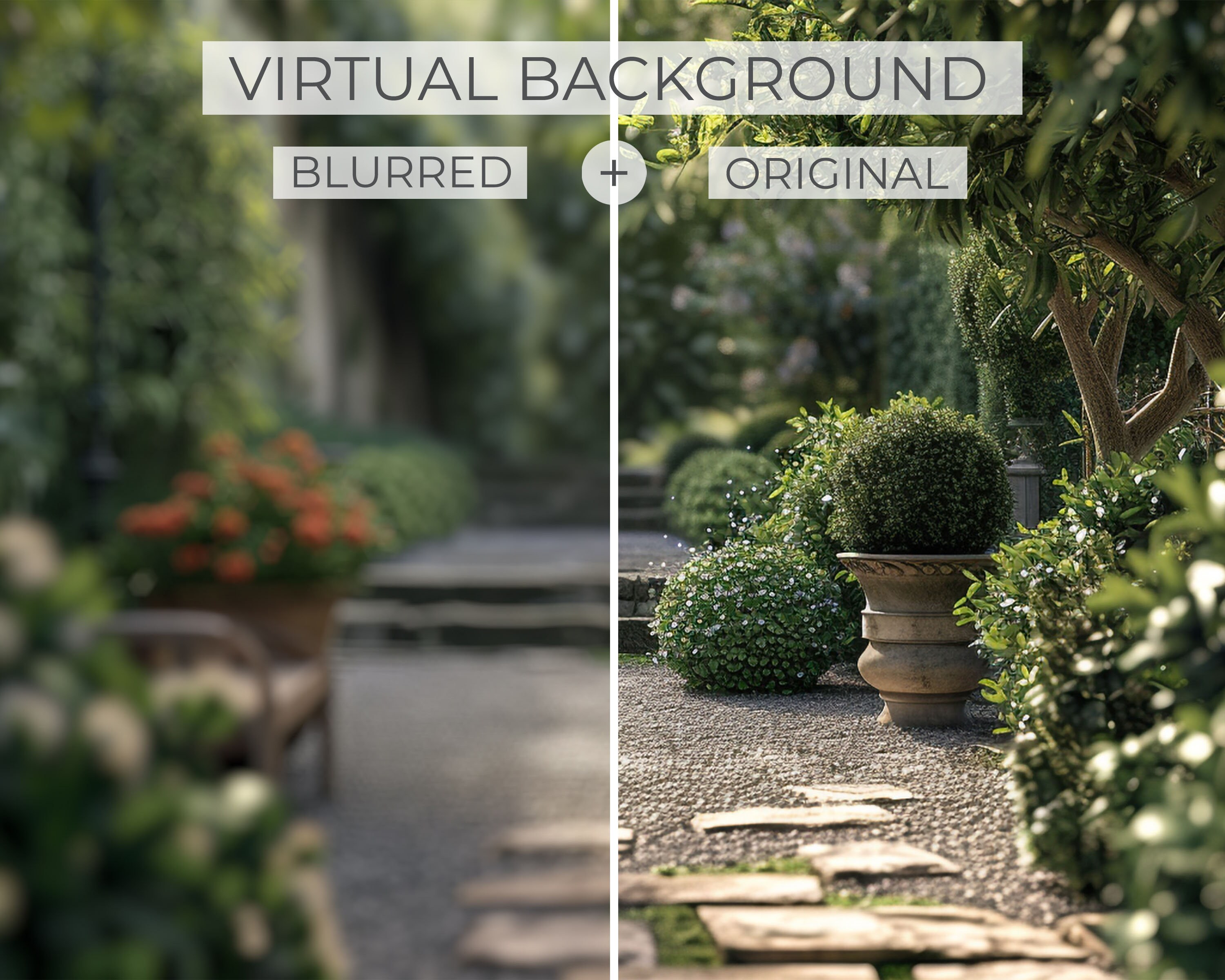 Garden Zoom Background Nature Zoom Background Home Office Home Office ...