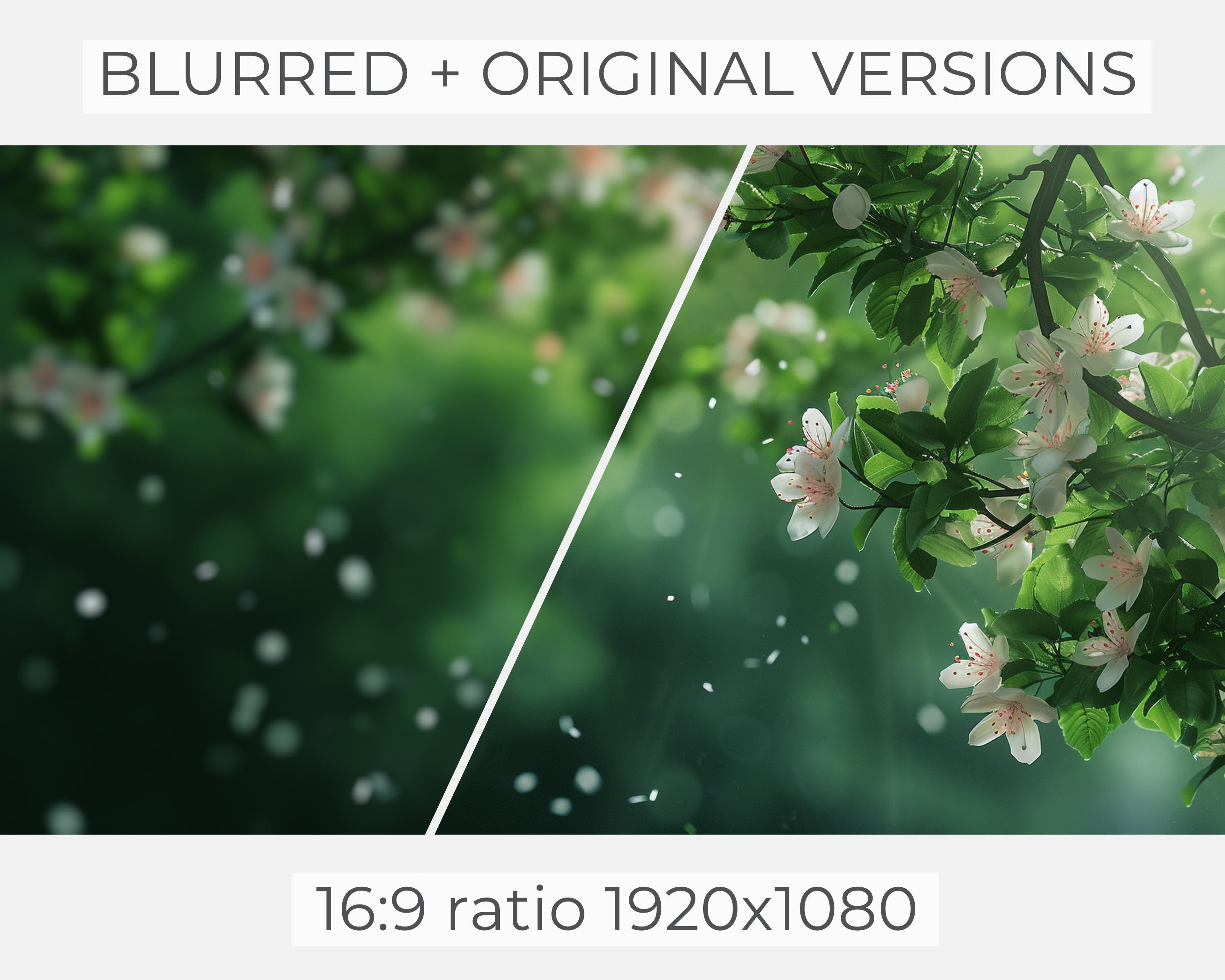 Spring Zoom Background Spring Nature Zoom Background Home Office Home ...