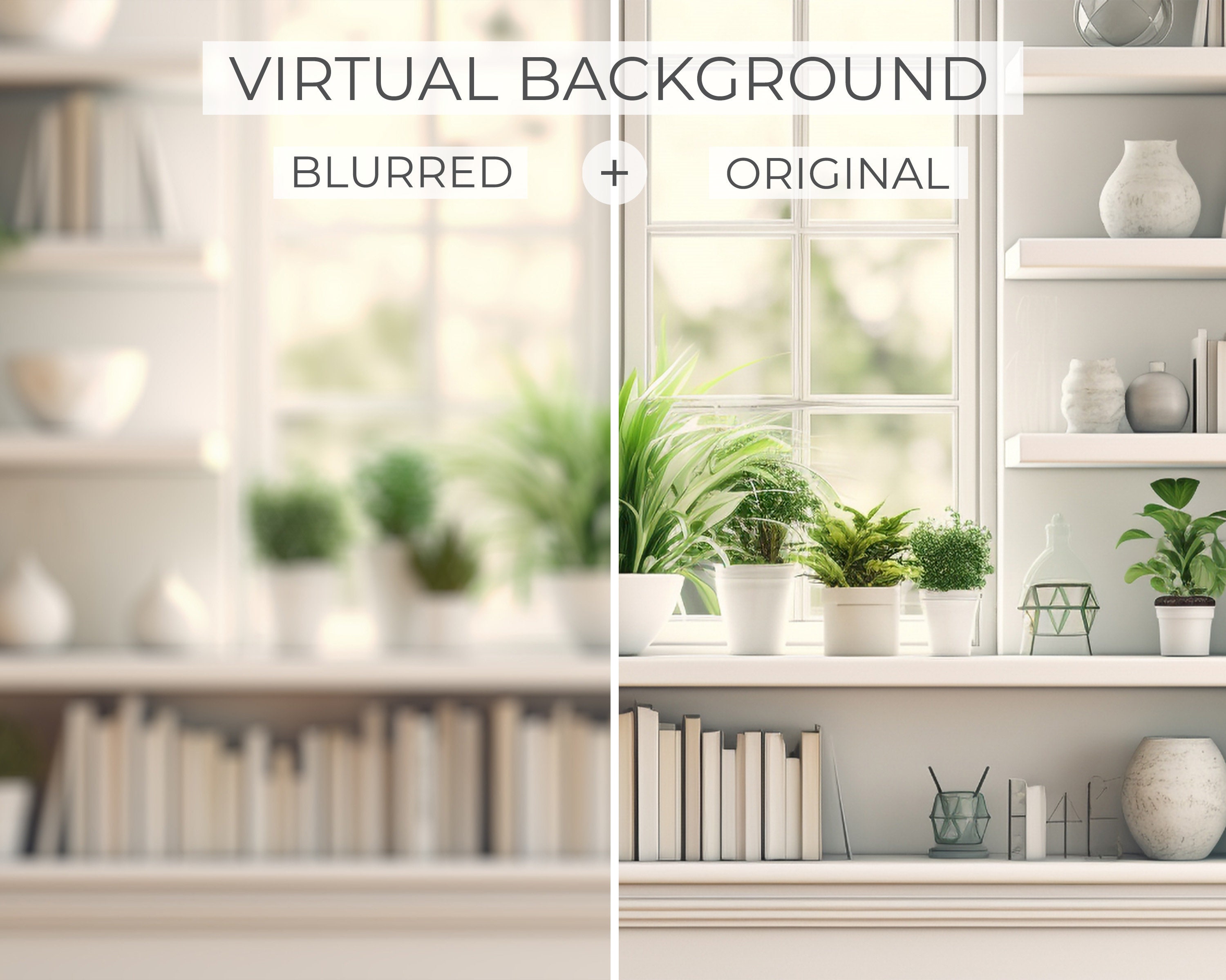 Window Bookshelf Zoom Background Home Office | Home Office Virtual ...