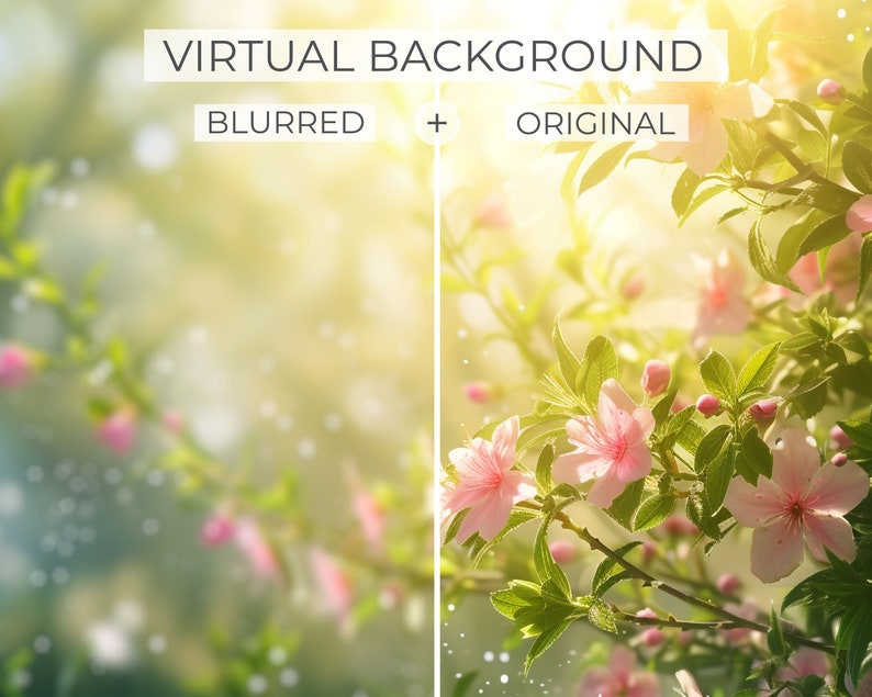 Spring Zoom Background Spring Nature Zoom Background Home Office Home ...