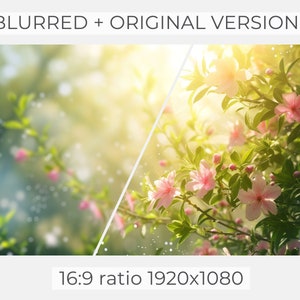 Spring Zoom Background | Spring Nature Zoom Background Home Office ...