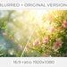 Spring Zoom Background | Spring Nature Zoom Background Home Office ...