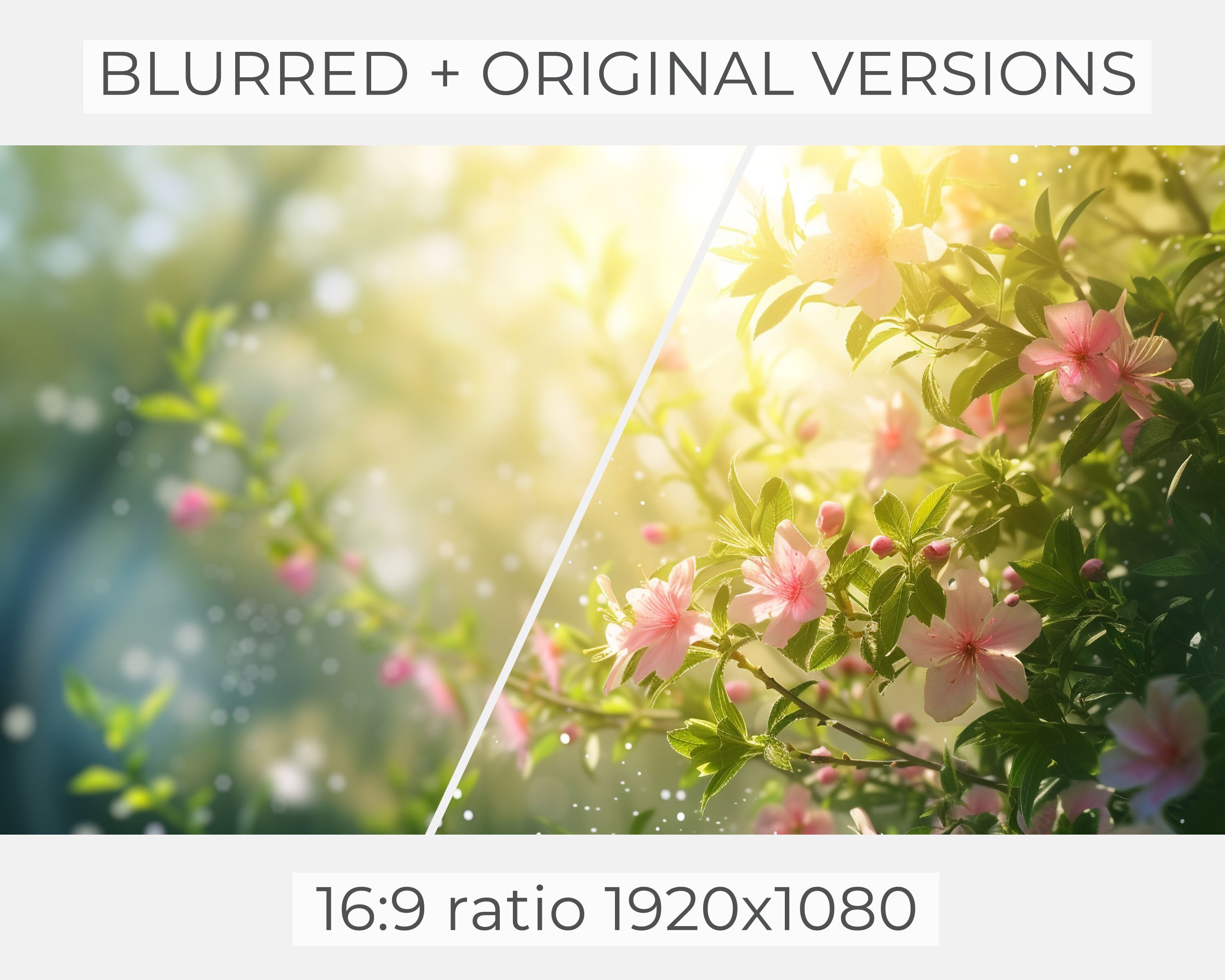 Spring Zoom Background Spring Nature Zoom Background Home Office Home ...