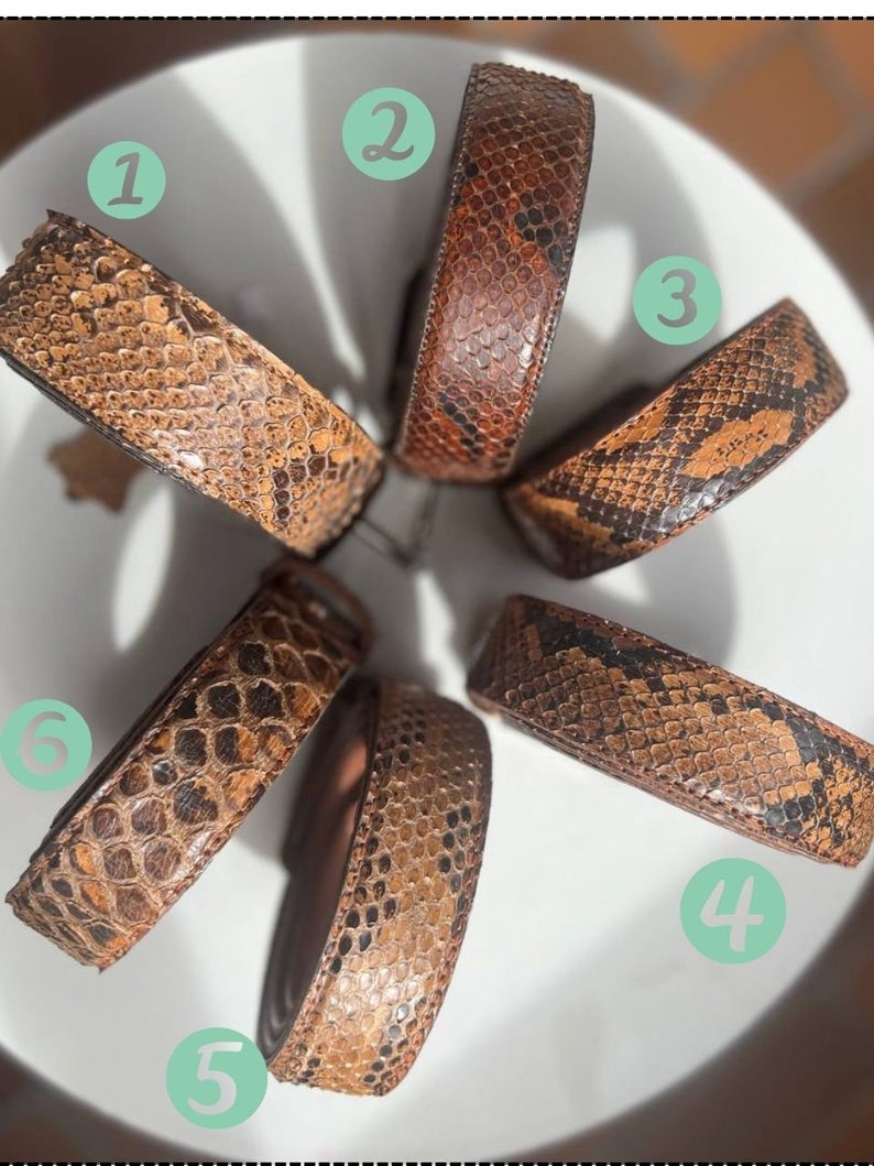 Snake Skin Belt, Real Snake Leather, Handmade, Gift, Unisex, Man, Woman ...
