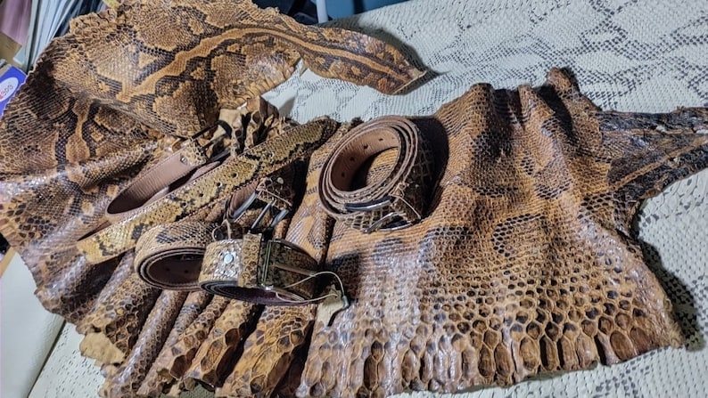 Snake Skin Belt, Real Snake Leather, Handmade, Gift, Unisex, Man, Woman, - Etsy