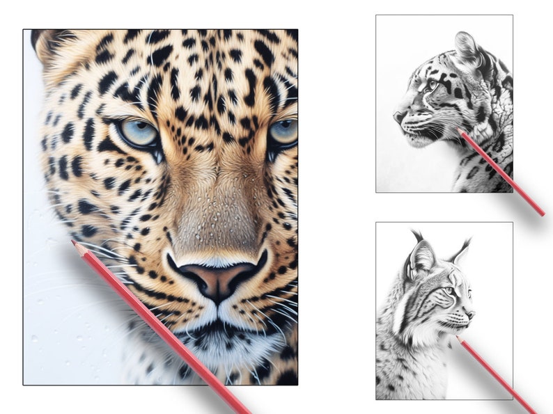 Big Cats Coloring Book Adult Coloring Pages Lions Tigers - Etsy