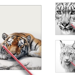 Big Cats Coloring Book - Adult Coloring Pages, Lions Tigers Leopards ...