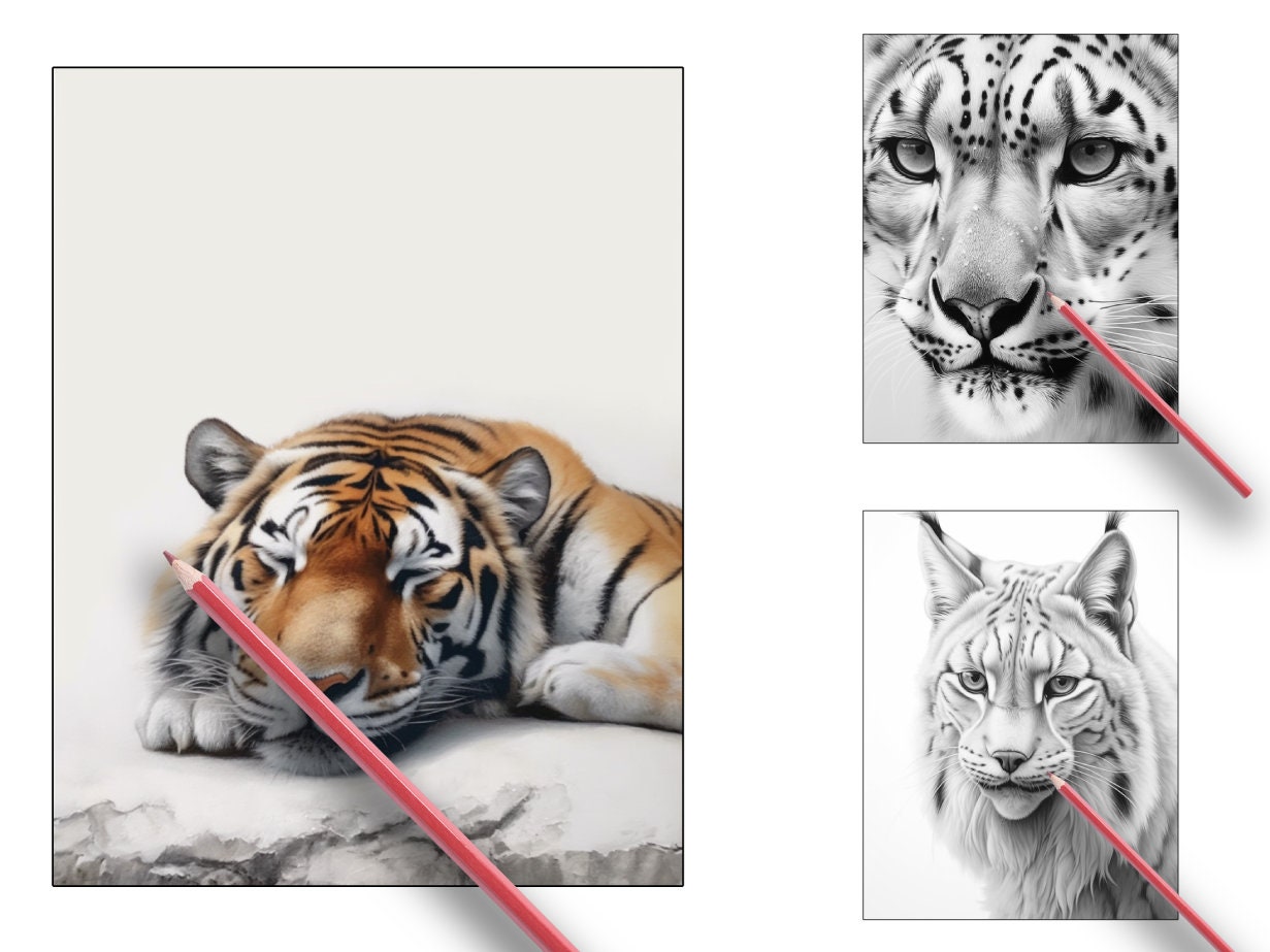Big Cats Coloring Book - Adult Coloring Pages, Lions Tigers Leopards ...