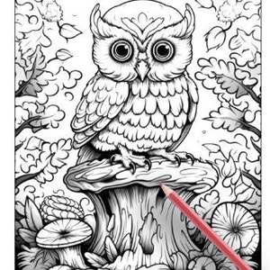 25 Pages Forest Owls Coloring Book - Animal Adult Coloring Pages ...