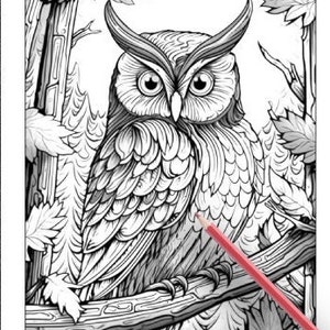 25 Pages Forest Owls Coloring Book - Animal Adult Coloring Pages ...