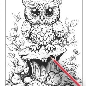 25 Pages Forest Owls Coloring Book - Animal Adult Coloring Pages ...