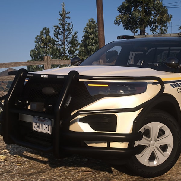 Fivem Police Pack - Etsy