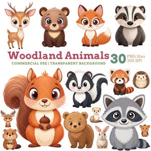 Cute Woodland Animals Clipart Bundle – 30 PNG, 300 DPI, Transparent ...