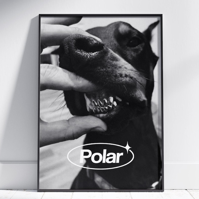 Cool Posters Men Sassy - Etsy UK