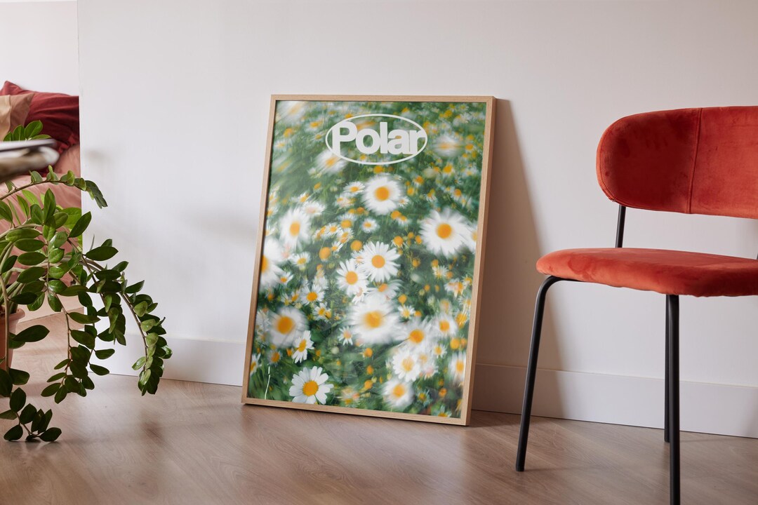 Daisy Poster for Bedroom - Wall Art Poster Print Poster Wall Art Cool ...