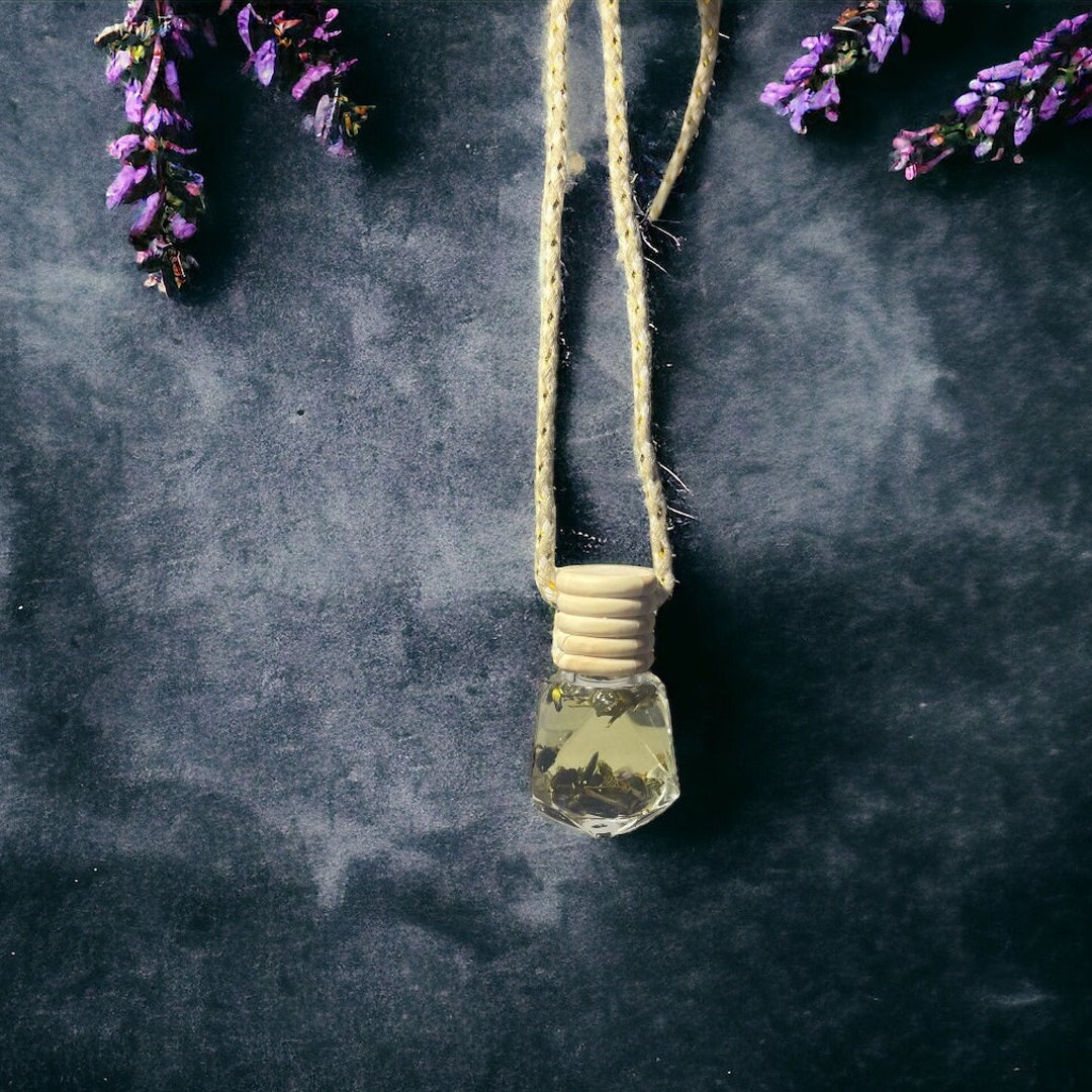 Hanging Car Diffuser L Vent Clip Car Reed Diffuser L Crystal and Herb ...