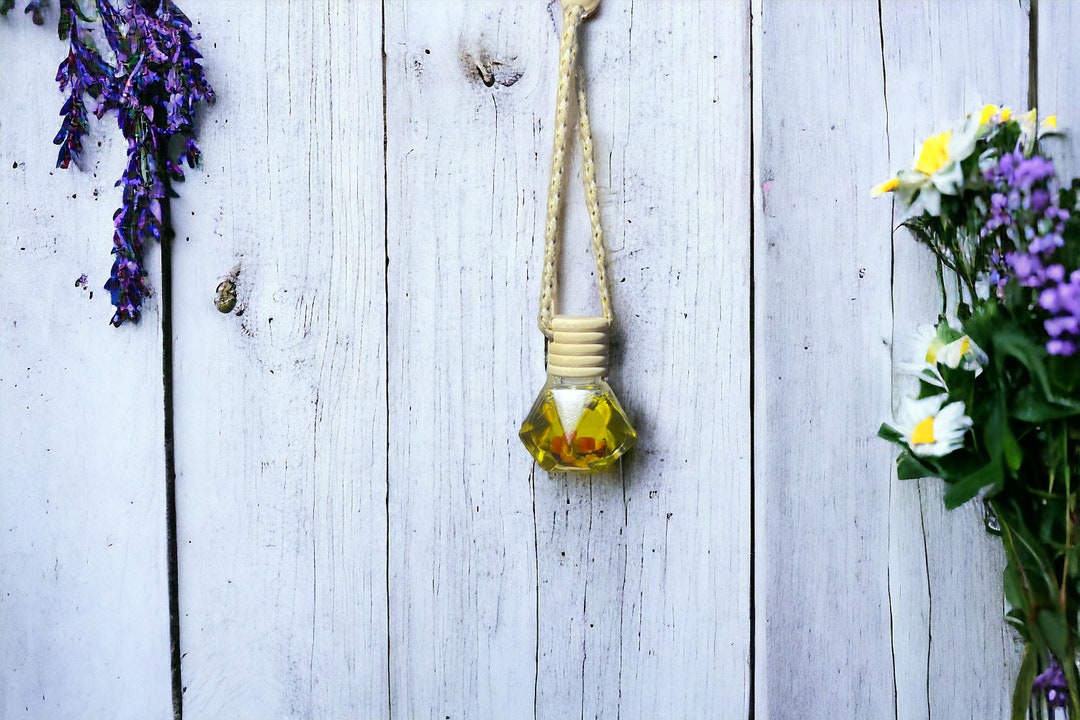 Hanging Car Diffuser L Vent Clip Car Reed Diffuser L Crystal and Herb ...