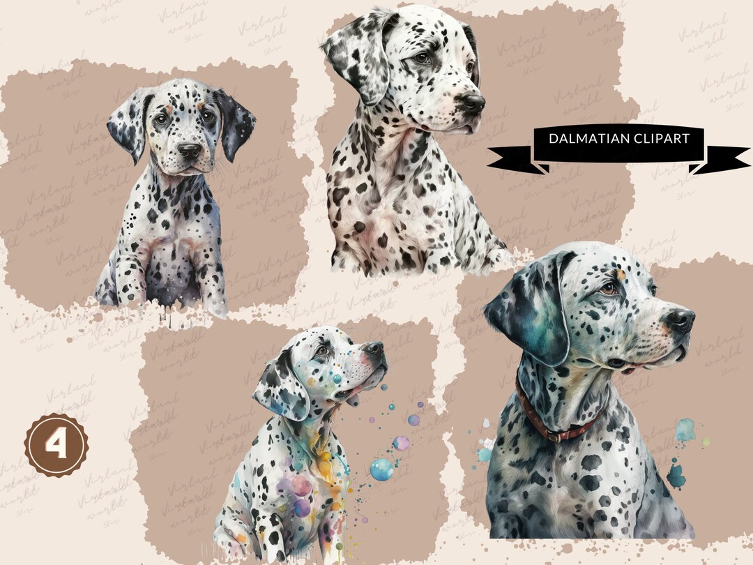 Cute Dalmatian Watercolor Clipart | Dog PNG | Puppy Clipart | Cute Dog ...