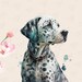 Cute Dalmatian Watercolor Clipart | Dog PNG | Puppy Clipart | Cute Dog ...