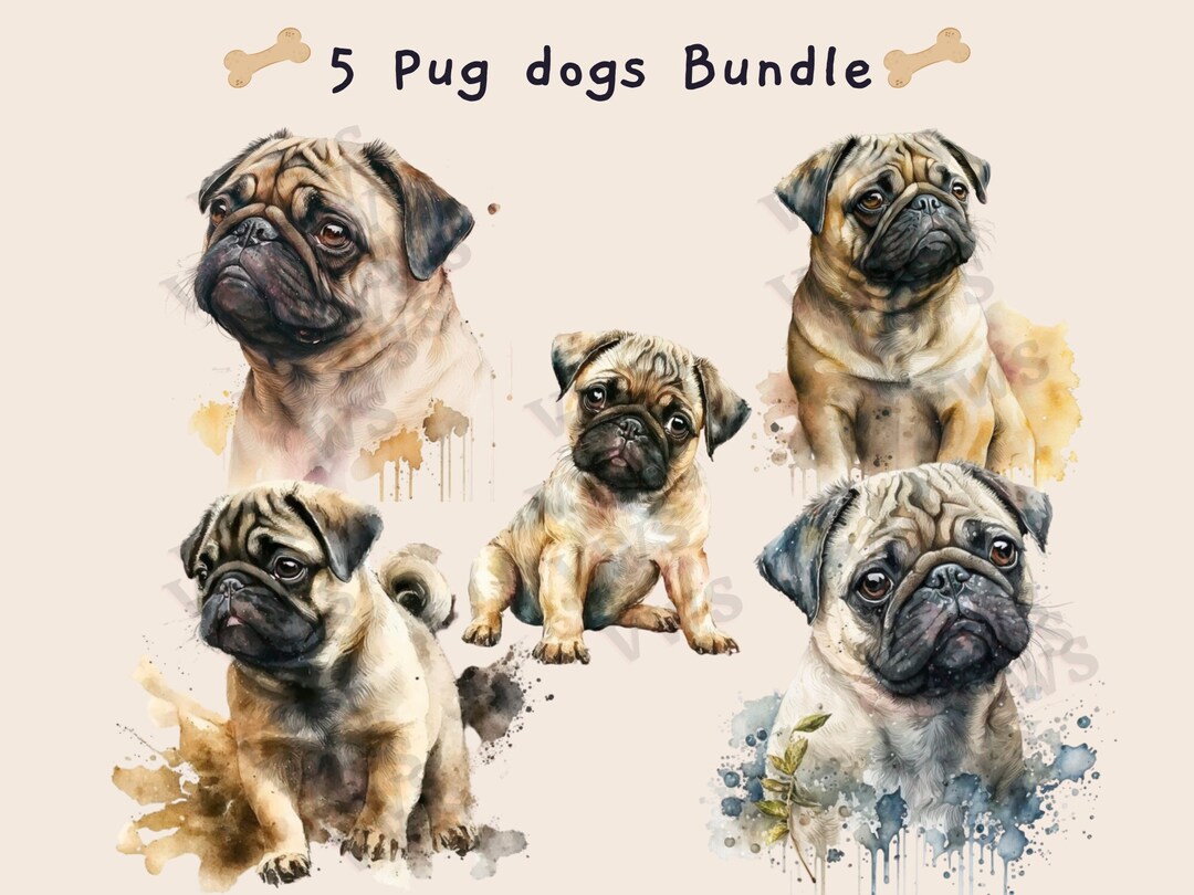 Cute Pug Clipart Dog PNG Puppy Clipart Cute Dog Clipart - Etsy