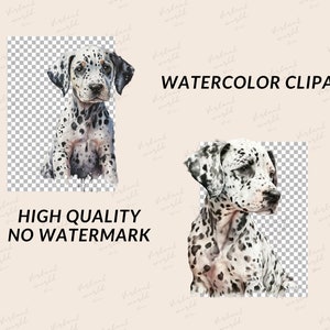 Cute Dalmatian Watercolor Clipart | Dog PNG | Puppy Clipart | Cute Dog ...