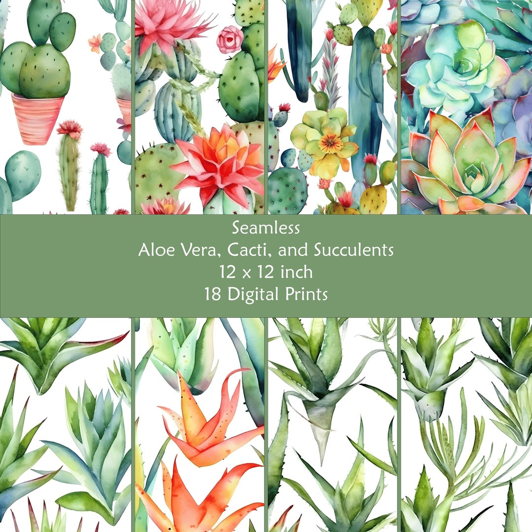 Seamless Watercolor Aloe Vera Cacti and Succulent Digital - Etsy