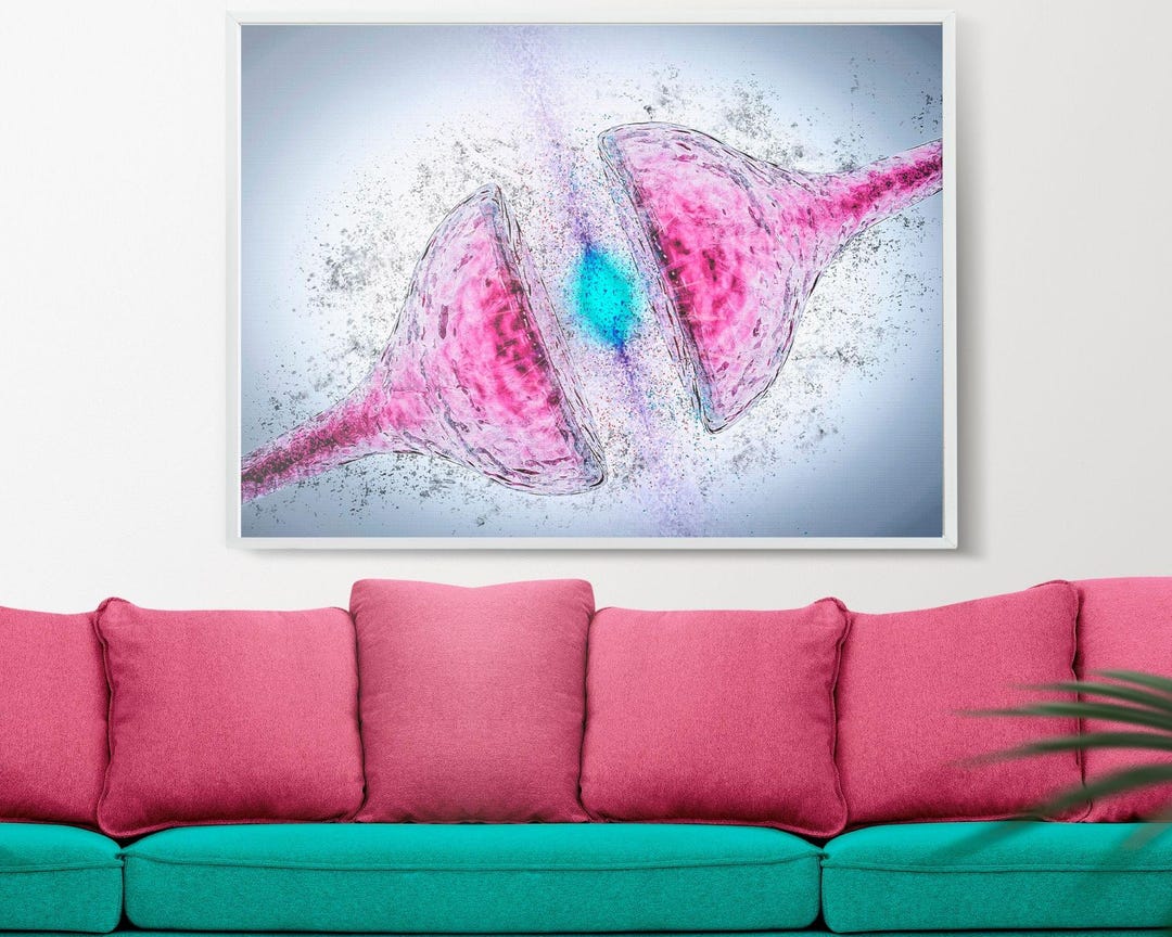 Synapses Cortical Neurons Medical, Science Canvas, Brain Nerve Cell ...