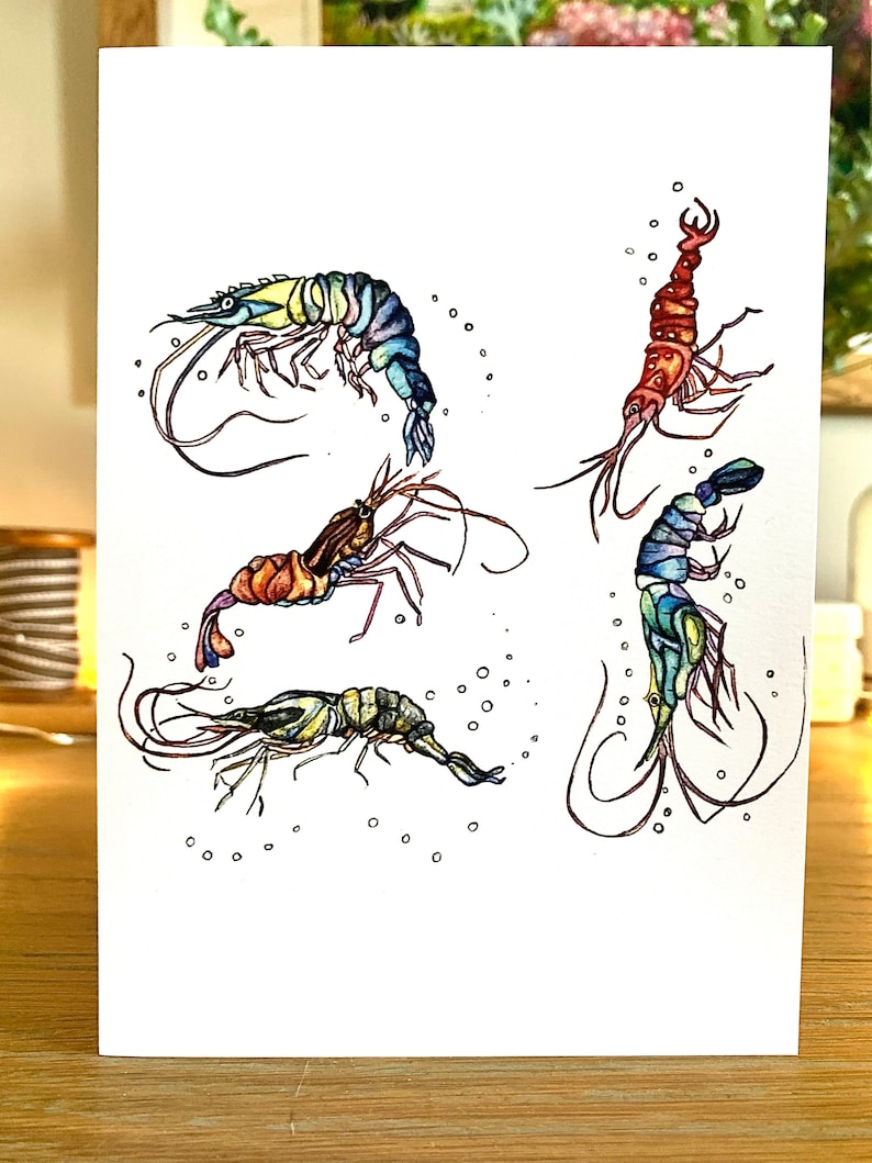 21st Birthday Card- ‘happy Birthday Shrimp!’ - Etsy